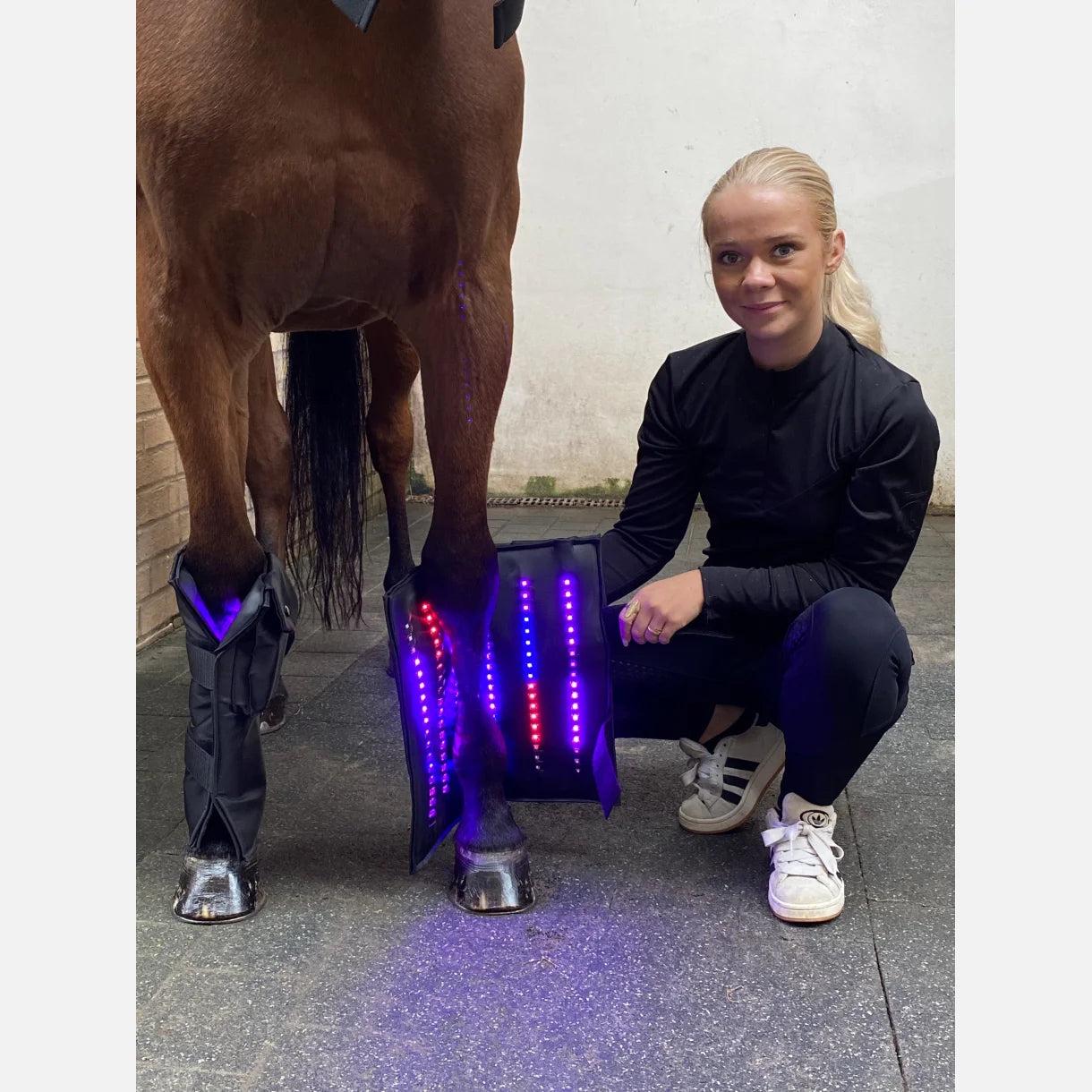 Equine LTS SUPREME - App controlled Triple Light Therapy Boots - 2 Pie ...